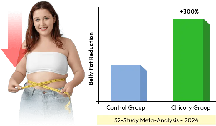 LipoEase Natural Fat Burning Solution